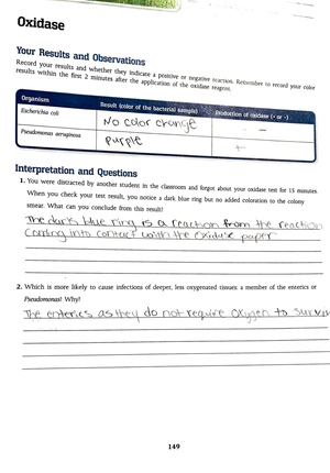 Isolation Plate Lab - Isolation Streak Plate Your Results and Ob ...