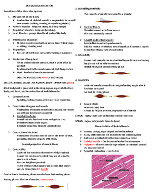 Anatomy Physiology Chapter 14 Lymphatic System Lymphatic System