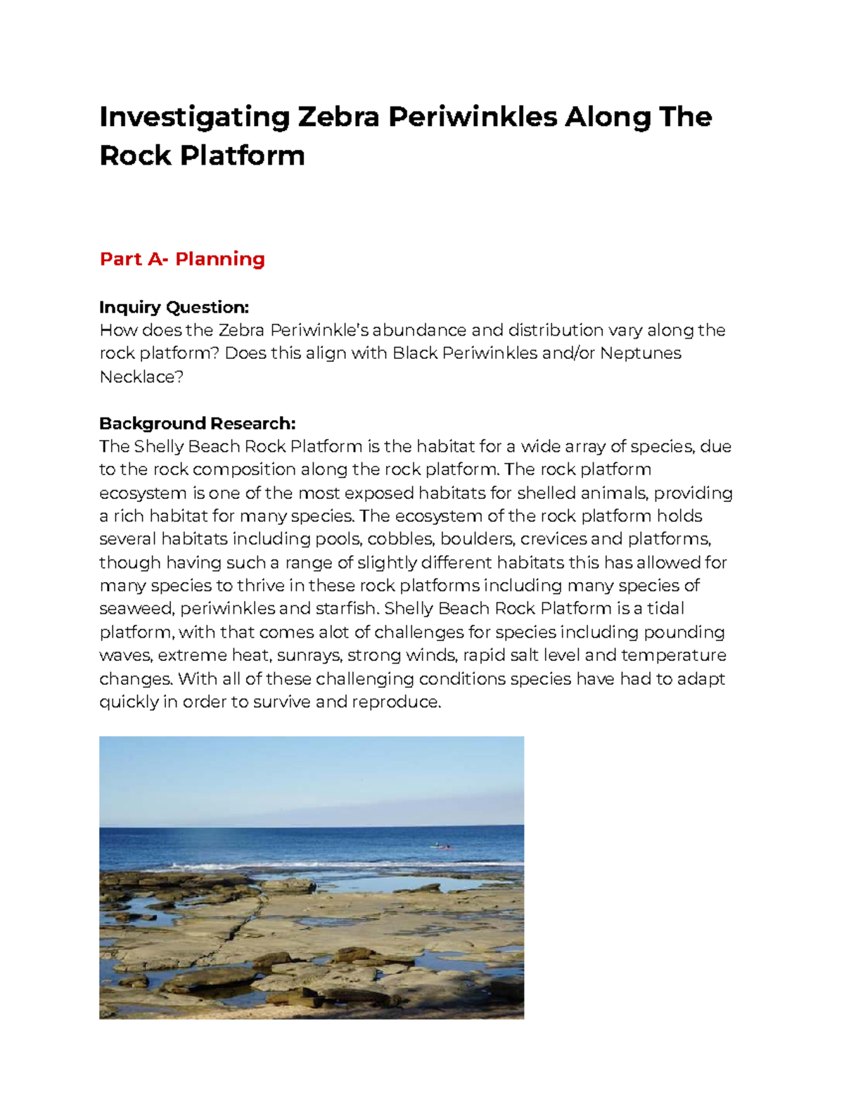 Depth Study: Zebra Periwinkles and Their Habitat on the Rock Platform ...