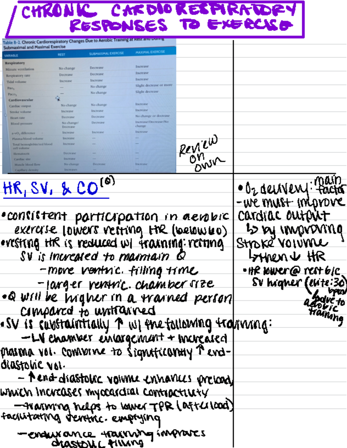ESS302 Notes chronic cardiovascular response to exercise - CHRONIC ...