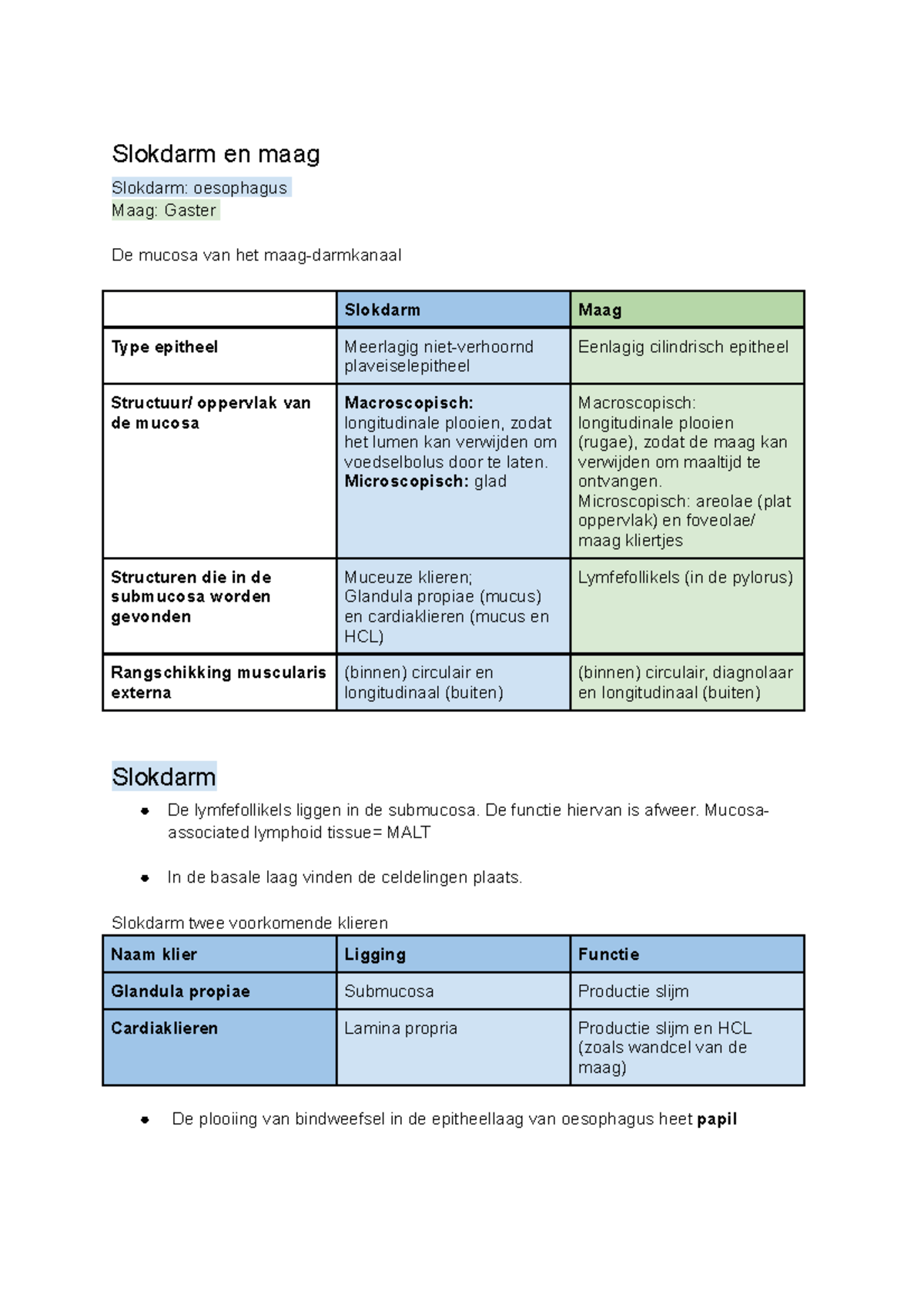 Werkcollege 2: Anatomie en Functies van Maag en Slokdarm - Studeersnel