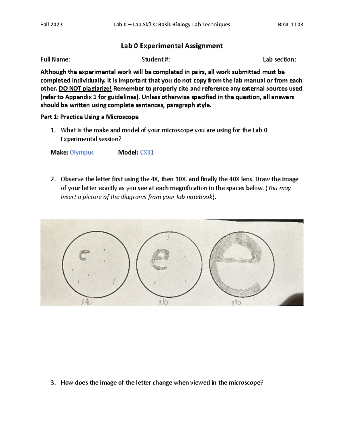 Lab 0 Assignment - Microscope Practice and Wet Mount Techniques - Studocu
