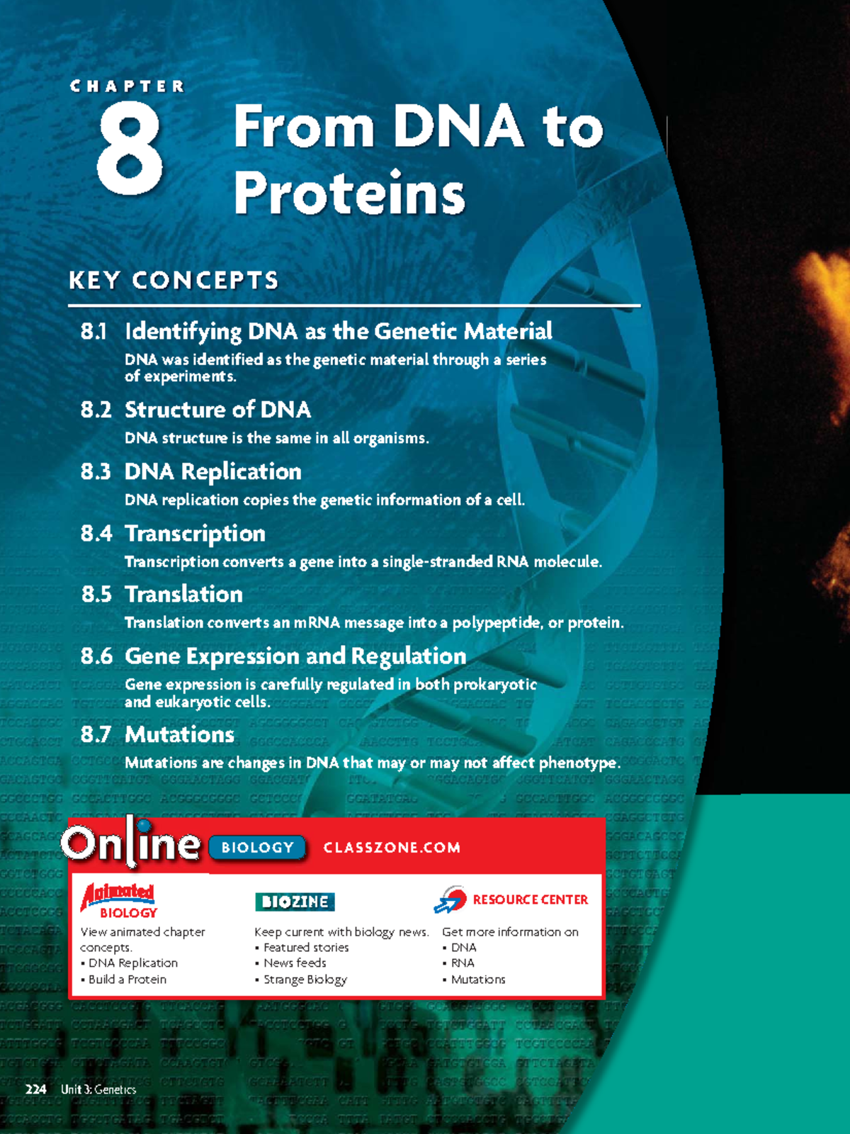 Chapter 8: From DNA to Proteins - Key Concepts and Mechanisms - Studocu