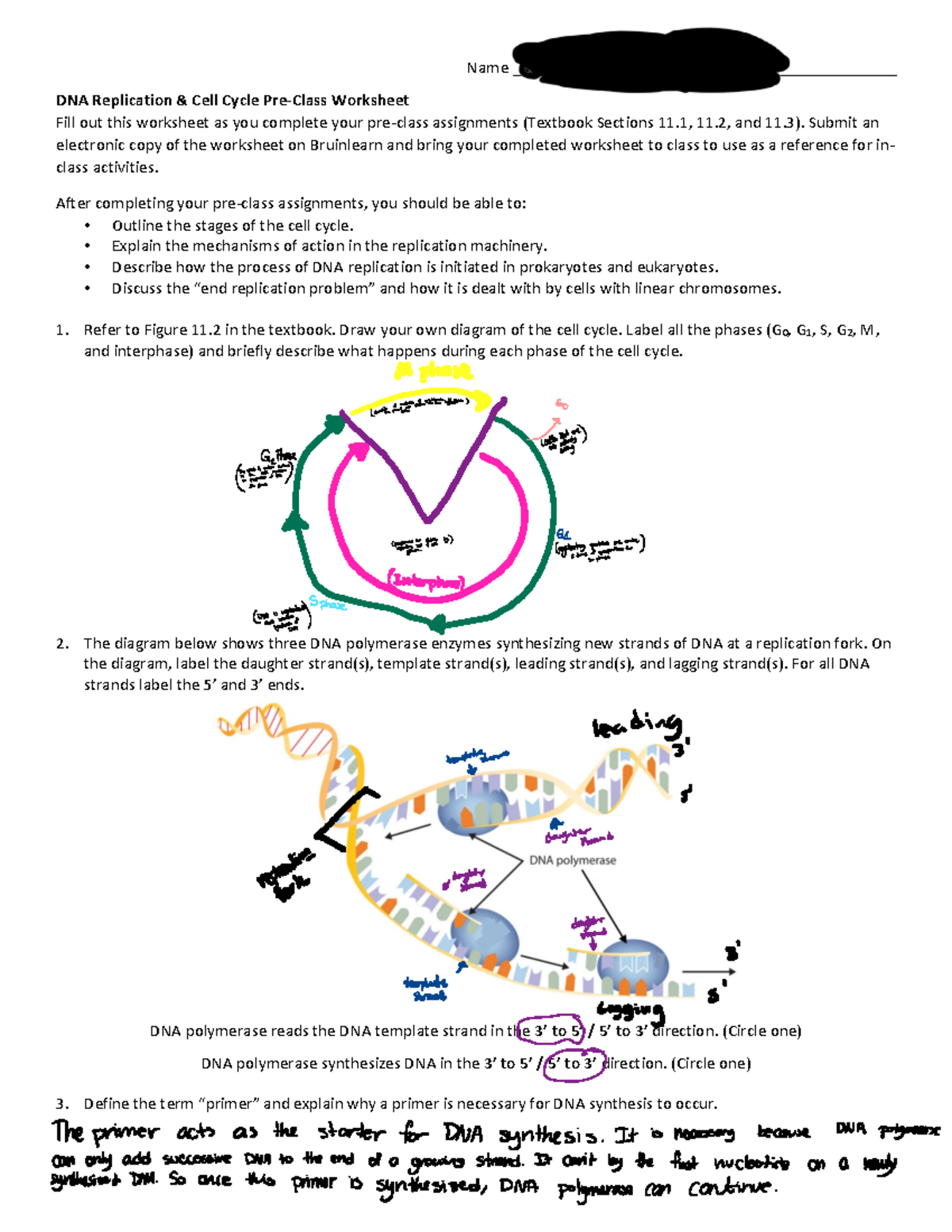 Dna Replication Diagram Worksheet