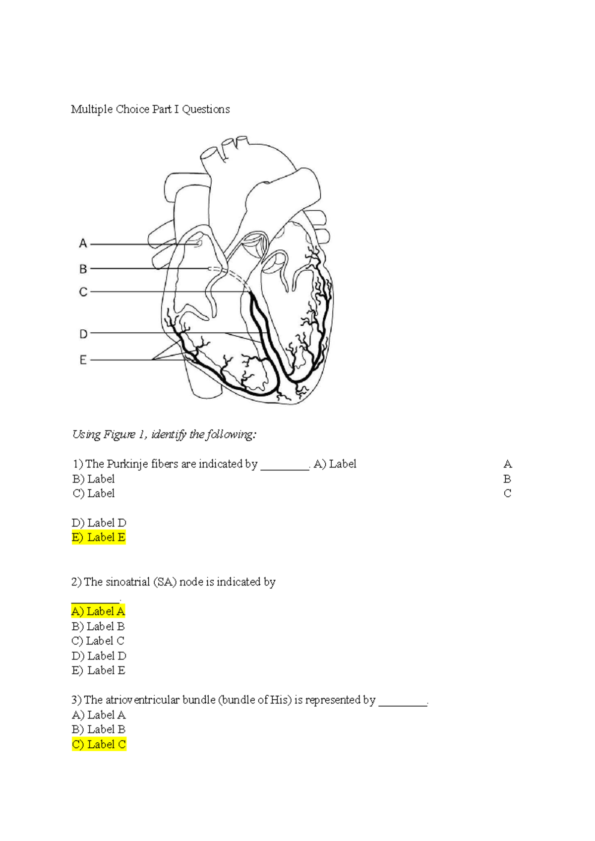 Cardiac Question - Multiple Choice Part I Questions Using Figure 1 ...