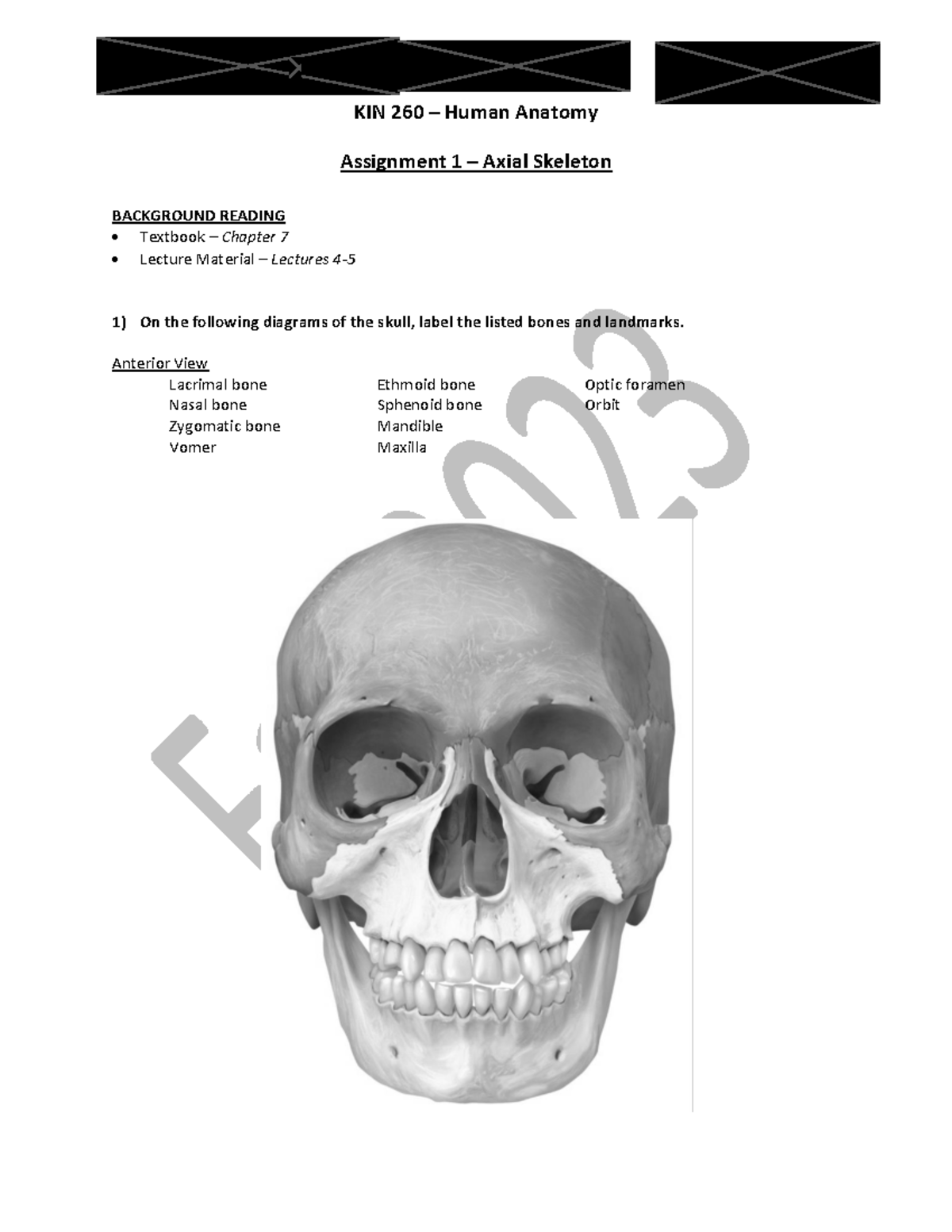 Assignment 1 - KIN 260 – Human Anatomy Assignment 1 – Axial Skeleton ...