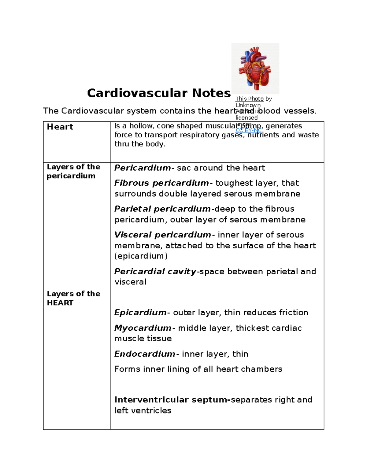 Cardiovascular Notes - Heart Is a hollow, cone shaped muscular pump ...
