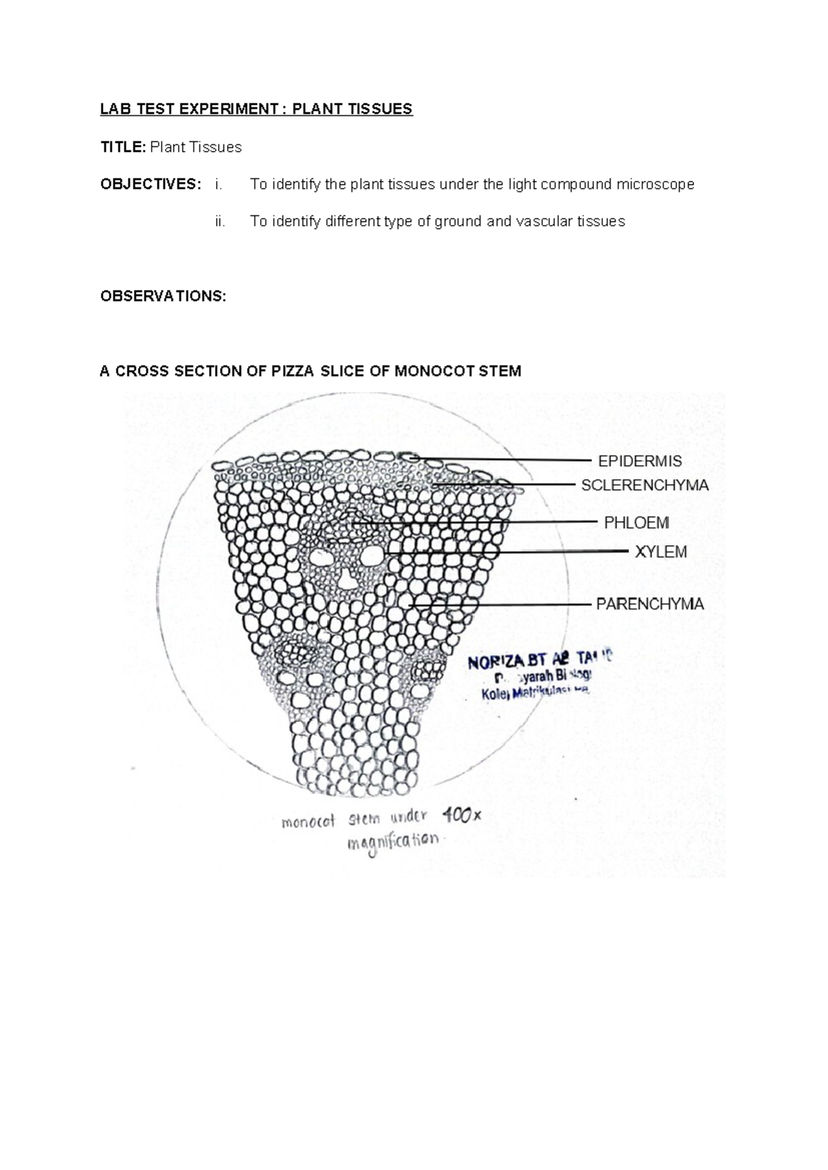 LAB TEST Experiment - Lab report - LAB TEST EXPERIMENT : PLANT TISSUES ...