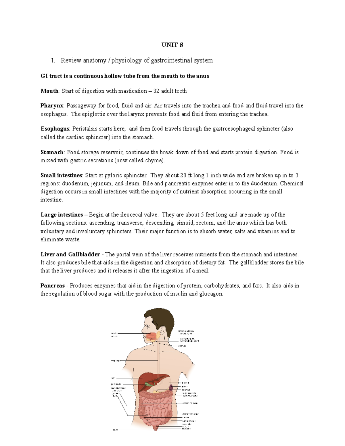 Med Surg 2 Exam 5 - Martin - UNIT 8 Review anatomy / physiology of ...