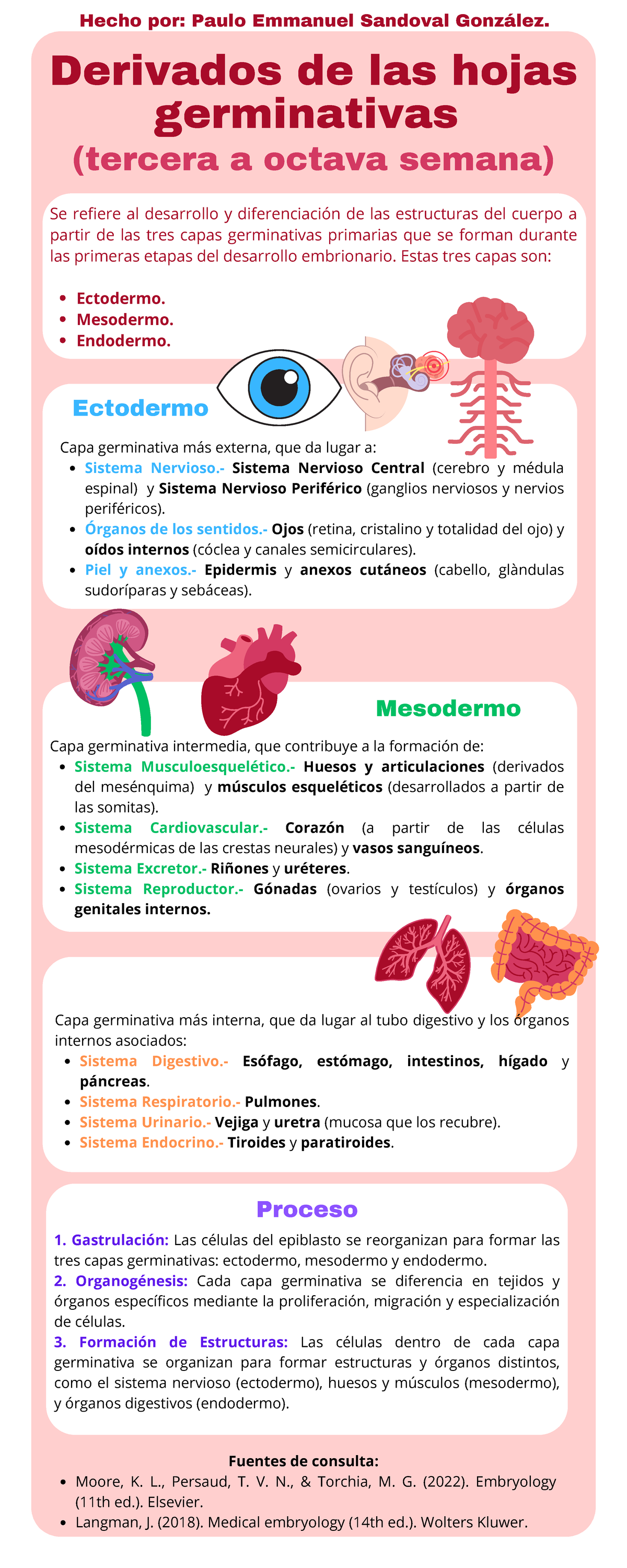 Info de derivados germinativos Sandoval Paulo - Derivados de las hojas ...