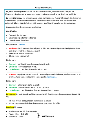 1. Anatomie-du-pharynx (By K - Anatomie du pharynx TH3 Anat ORL - D ...