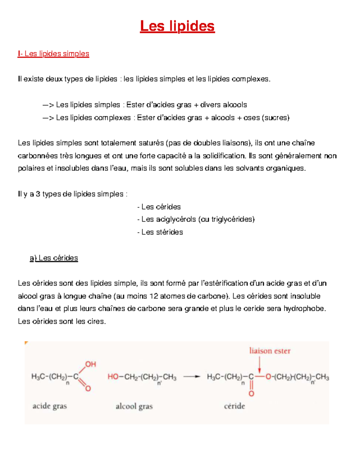 Les Lipides : Types et Caractéristiques des Lipides Simples - Studocu