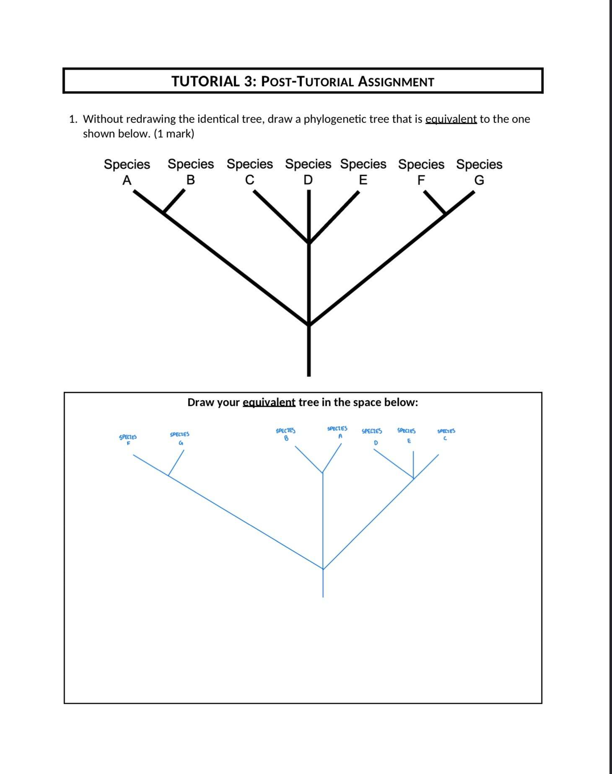 Phylogenetic Tree Post-Tutorial Assignment (TUTORIAL 3) - Studocu