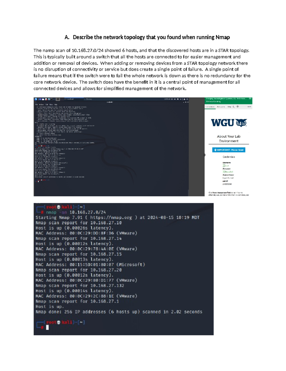 C844 Task 1 - Network Vulnerability Assessment and Anomalies Analysis ...