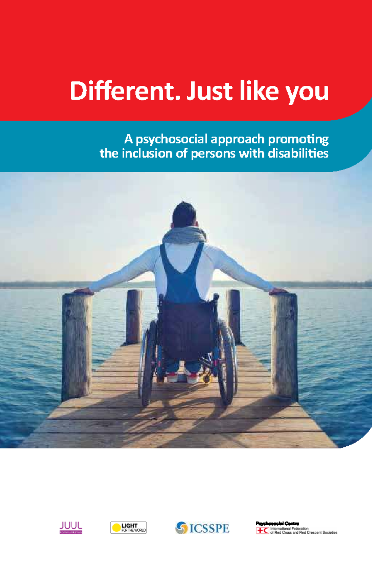 Different. Just Like You: A Psychosocial Approach to Disability ...