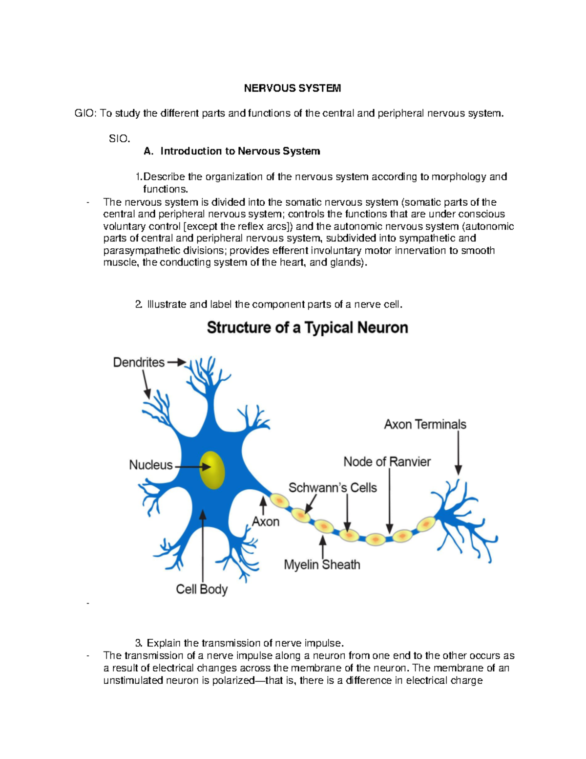 WEEK 7 LAB Exercise Nervous System - NERVOUS SYSTEM GIO: To study the ...