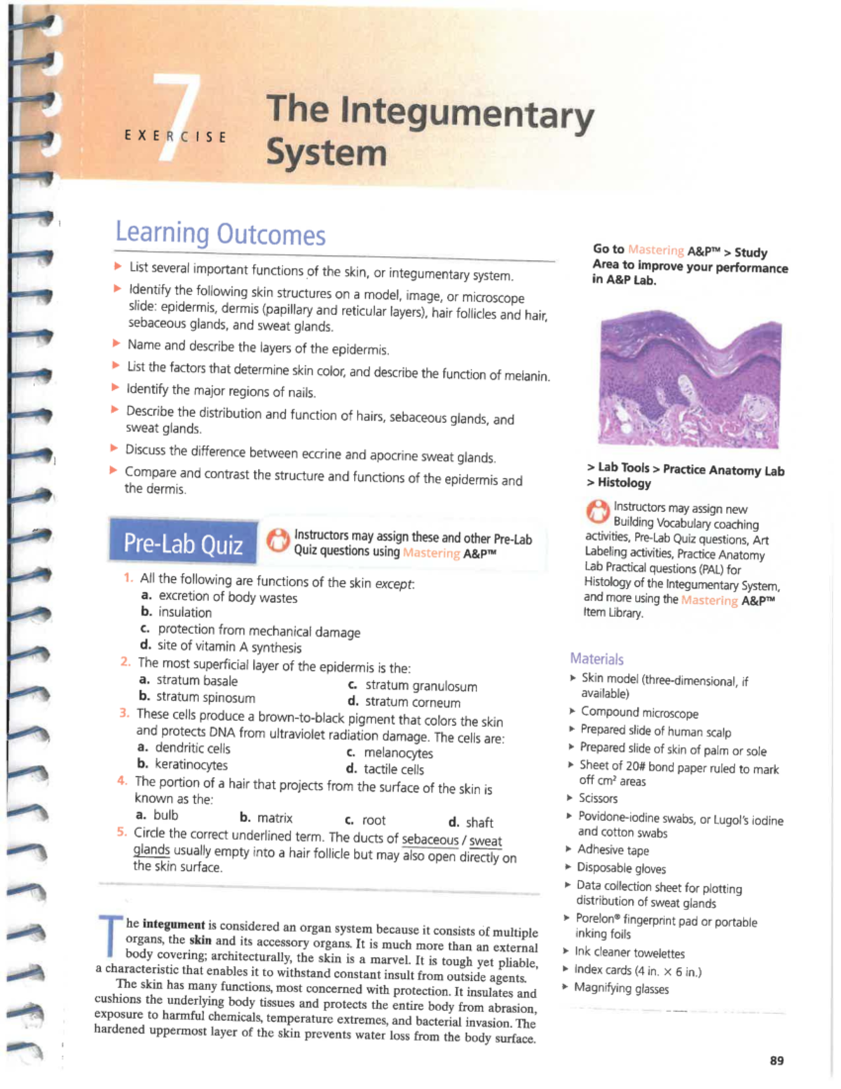 Lab Manual Exercise 7: Integumentary System Analysis and Learning ...