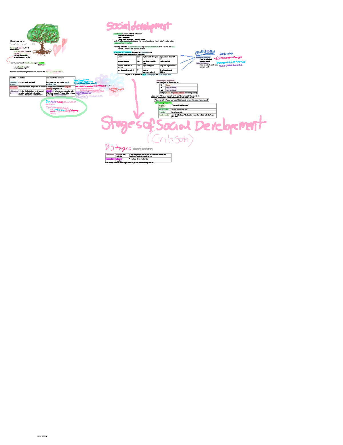 Development - Kurt Hoffman, Test 2 - Nature and Nurture is a FALSE ...