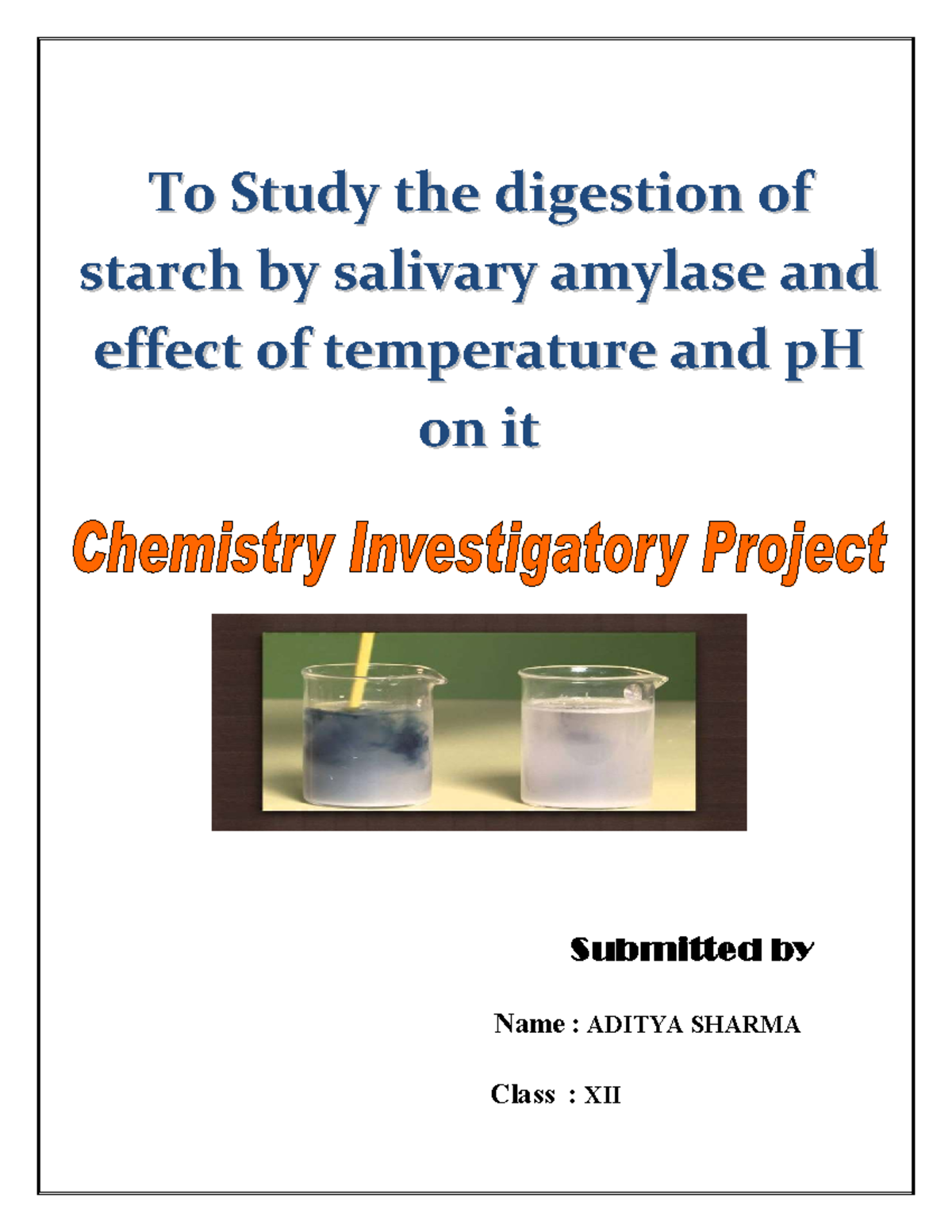 Study of Starch Digestion by Salivary Amylase: Class XII Project - Studocu