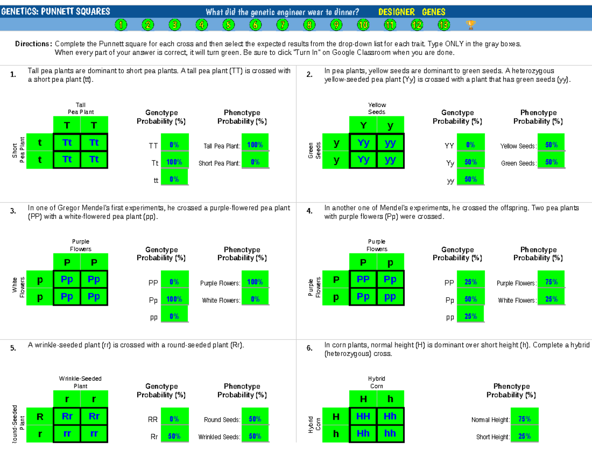 Emiliano Garcia Sanchez - 8th Punnett Squares - Google Sheets ...