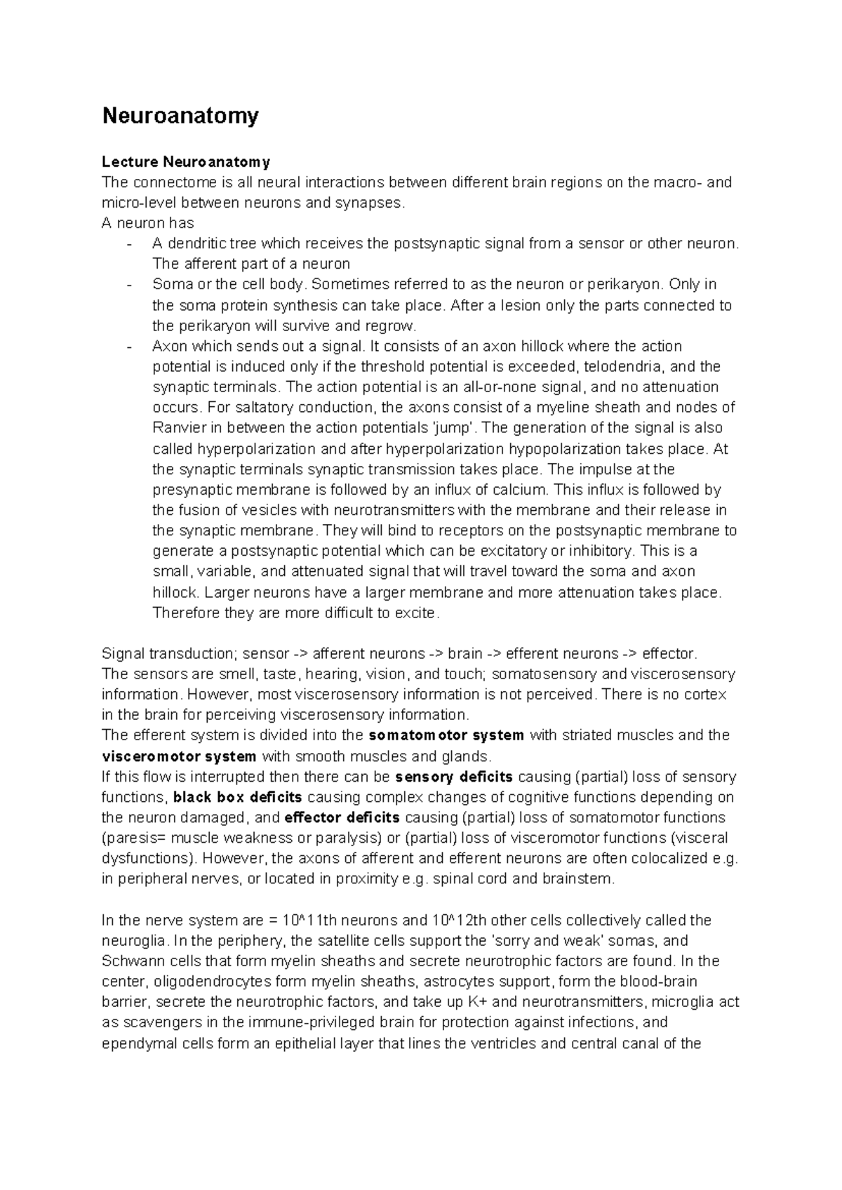 Neuroanatomy Lecture Notes: Comprehensive Overview and Summarization ...