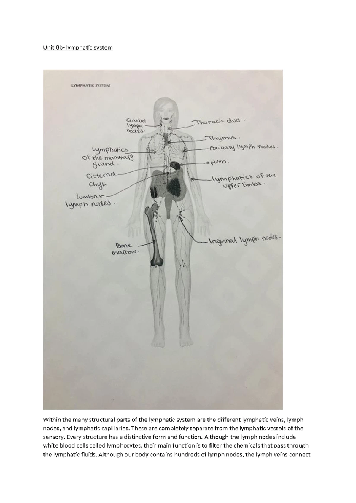 Unit 8a - Musculoskeletal System: Structure, Functions, and Disorders ...