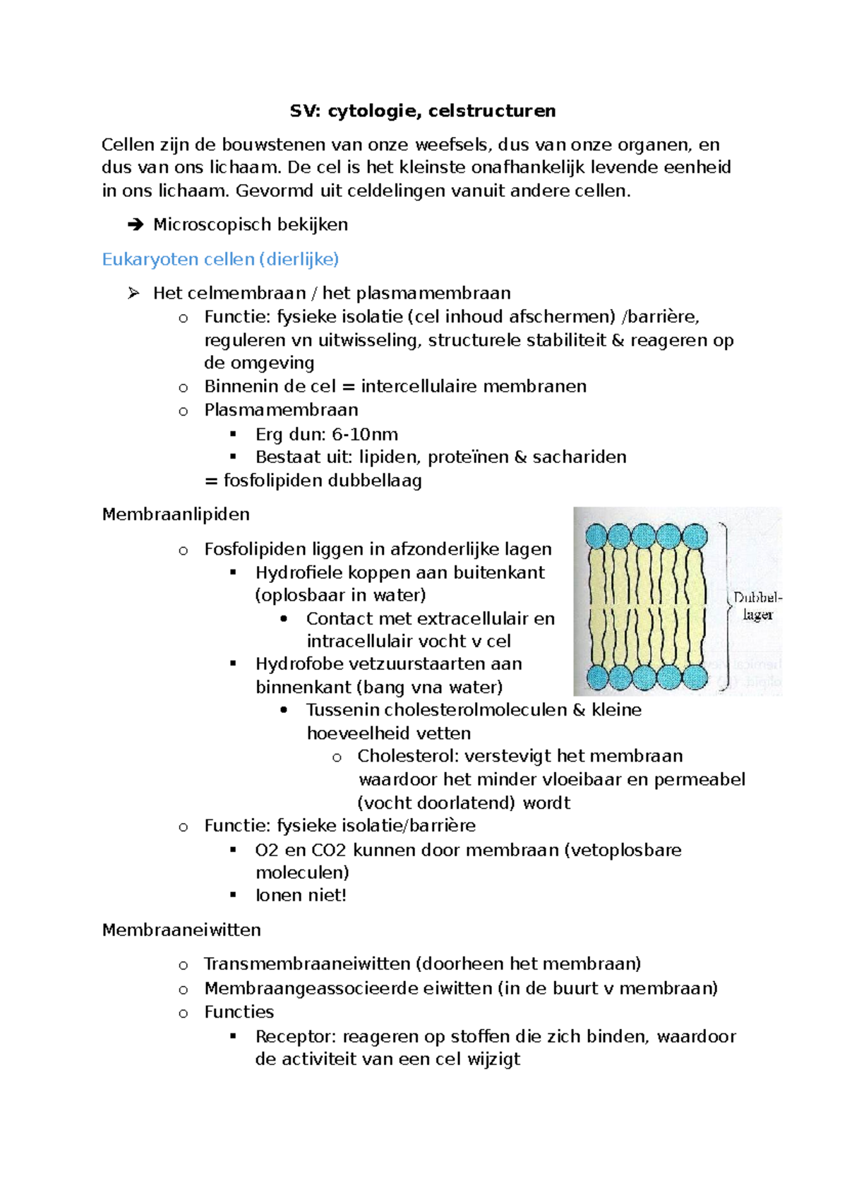 SV - celsstructuren - Heel de opbouw van een cel en de functies - SV ...