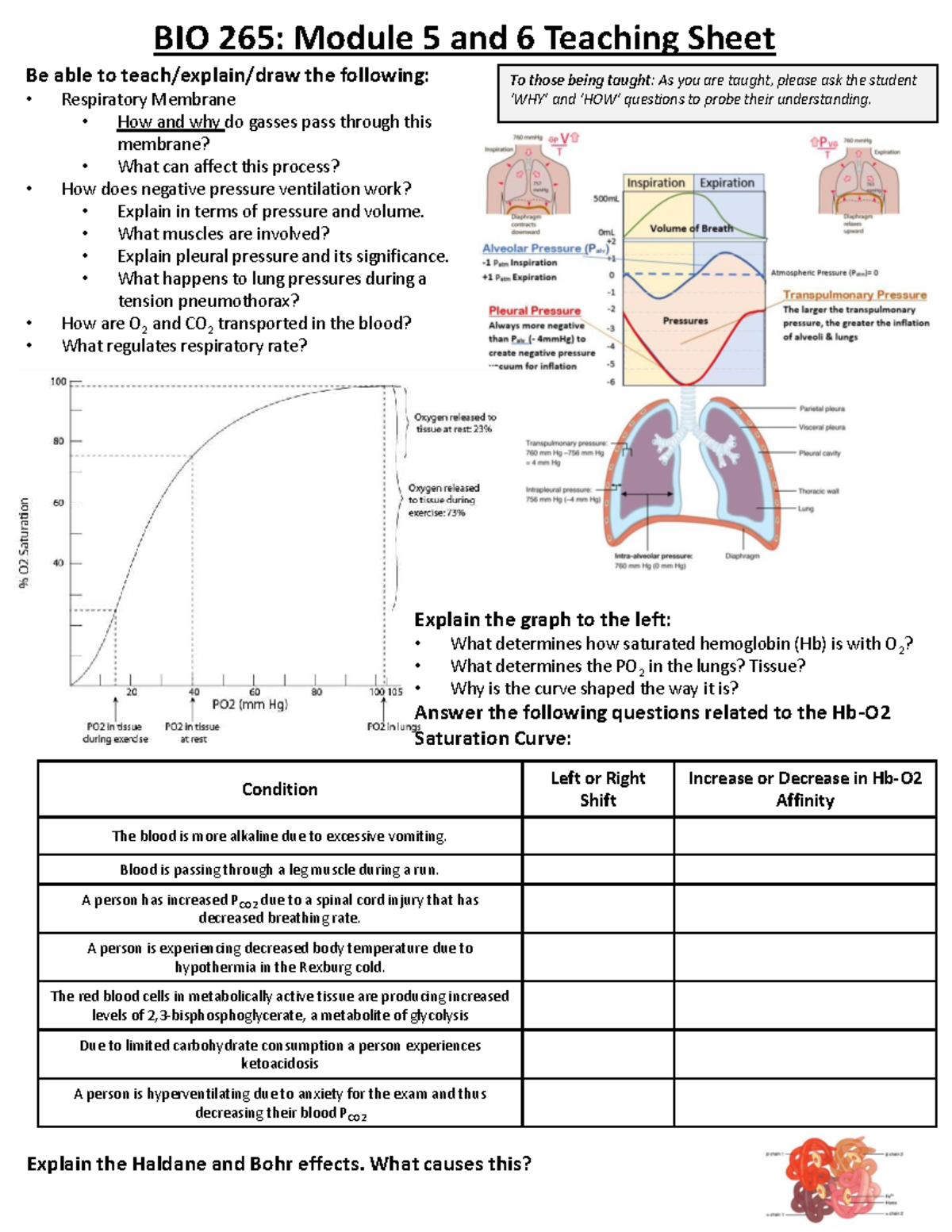 BIO 265: Teaching Sheet for Modules 5 & 6 - Respiration & Gas Exchange ...