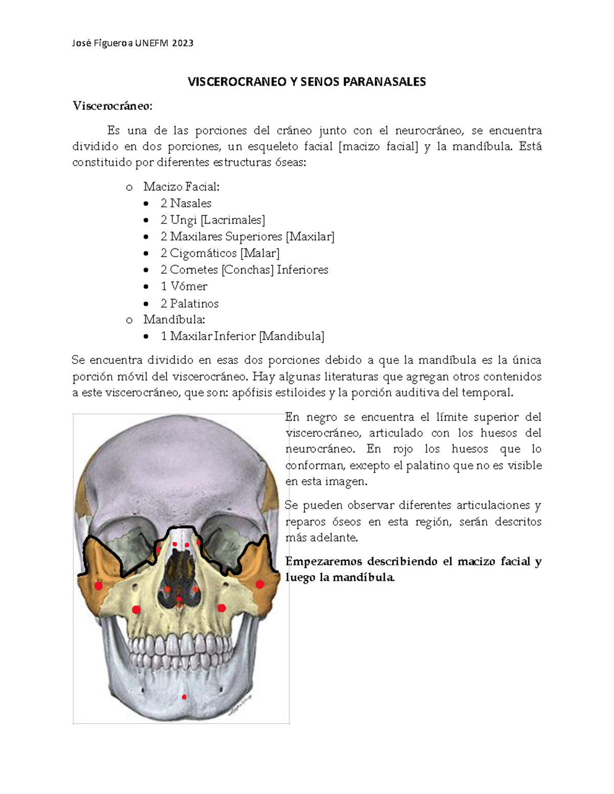 Viscerocráneo y Senos Paranasales: Anatomía y Funciones Clave - Studocu