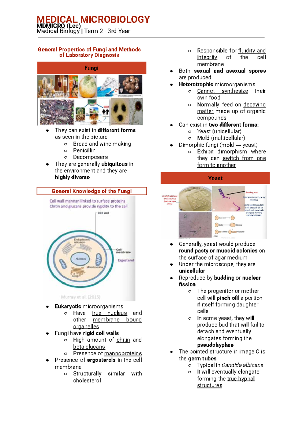 MDMICRO LE2 - General Properties of Fungi & Lab Diagnosis Methods - Studocu