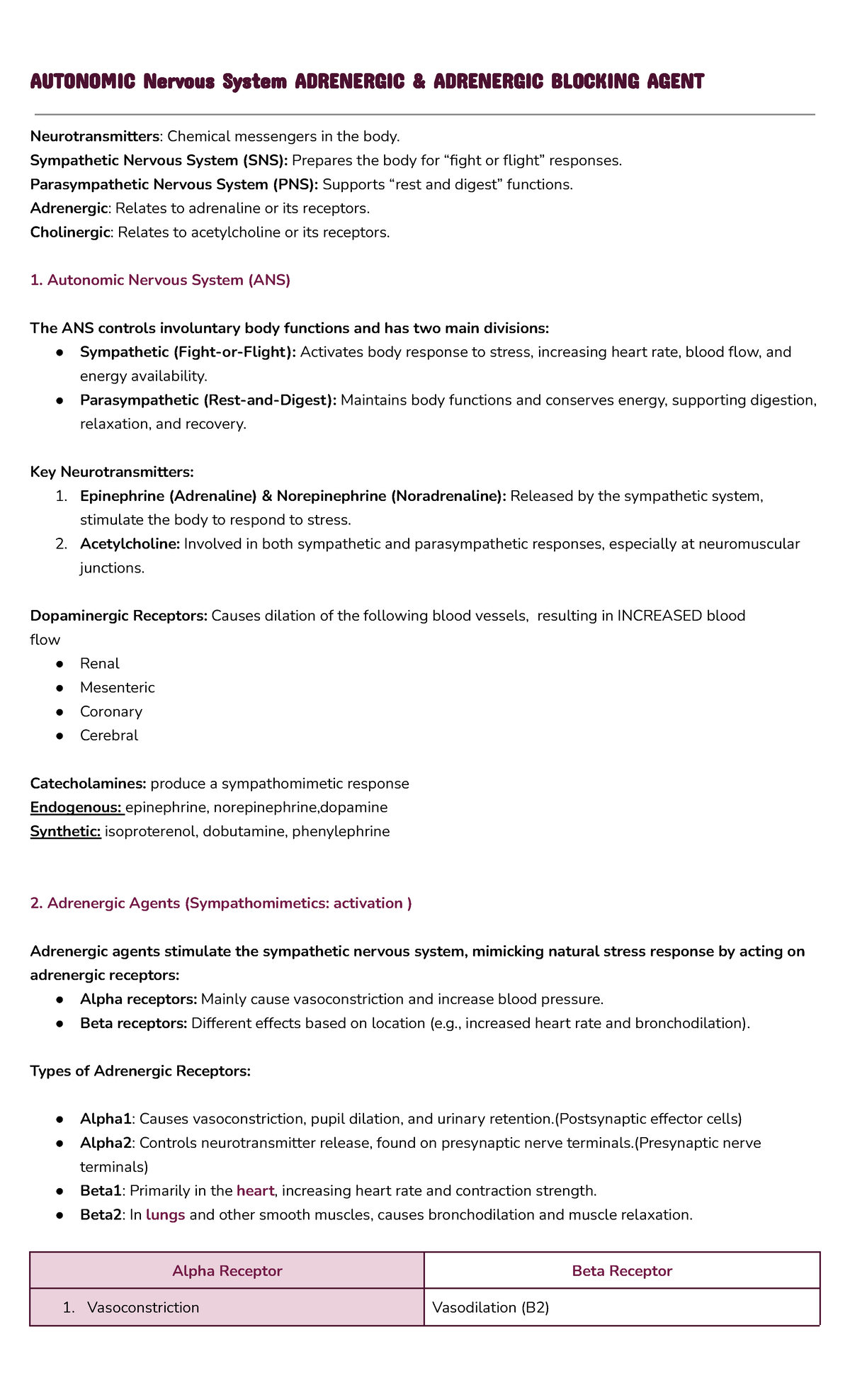 Pharma Midterm: Autonomic Nervous System & Adrenergic Agents Overview ...