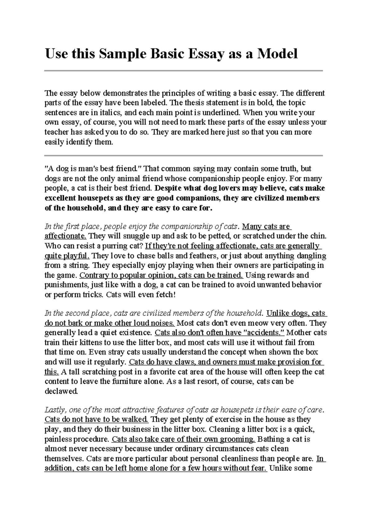 Basic Essay Model: Cats as Ideal Companions (ENG101) - Studeersnel