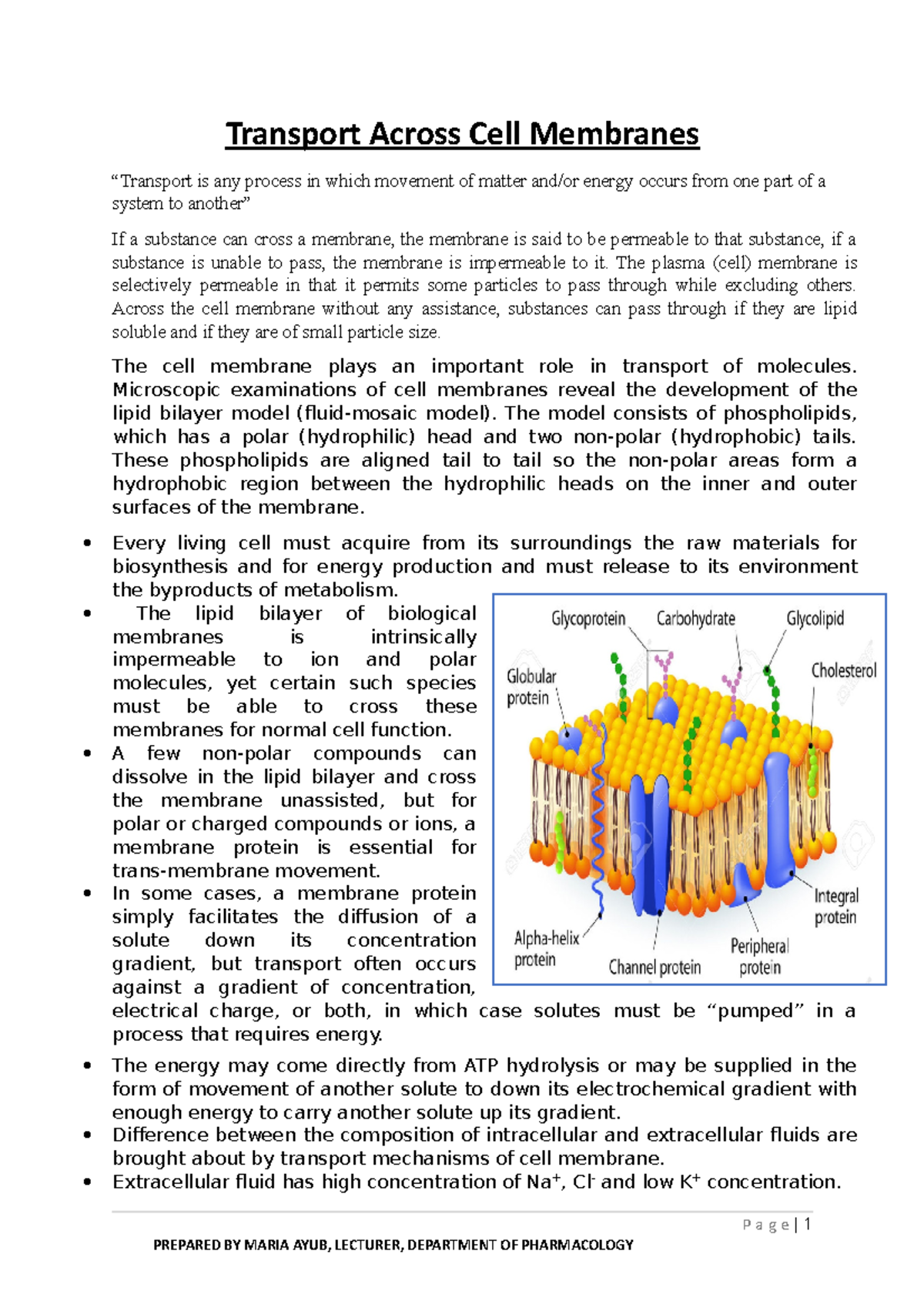 Transport Across Cell Membranes: Physio Notes (BIO 101) - Studocu