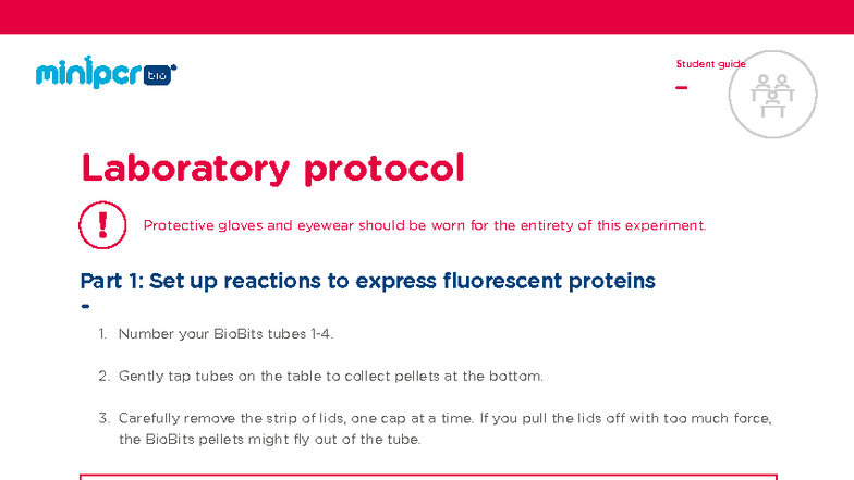 Protein Expression & Purification Lab Protocol (miniPCR BioTM) - Studocu