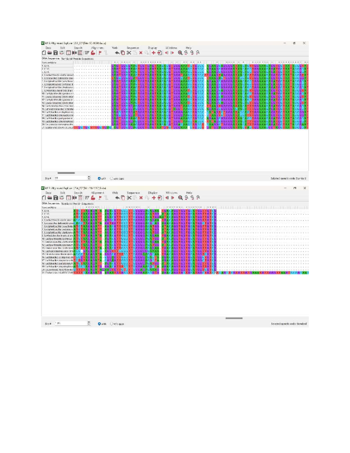 M M12: Alignment Explorer Practice Material for DNA Sequences - Studocu