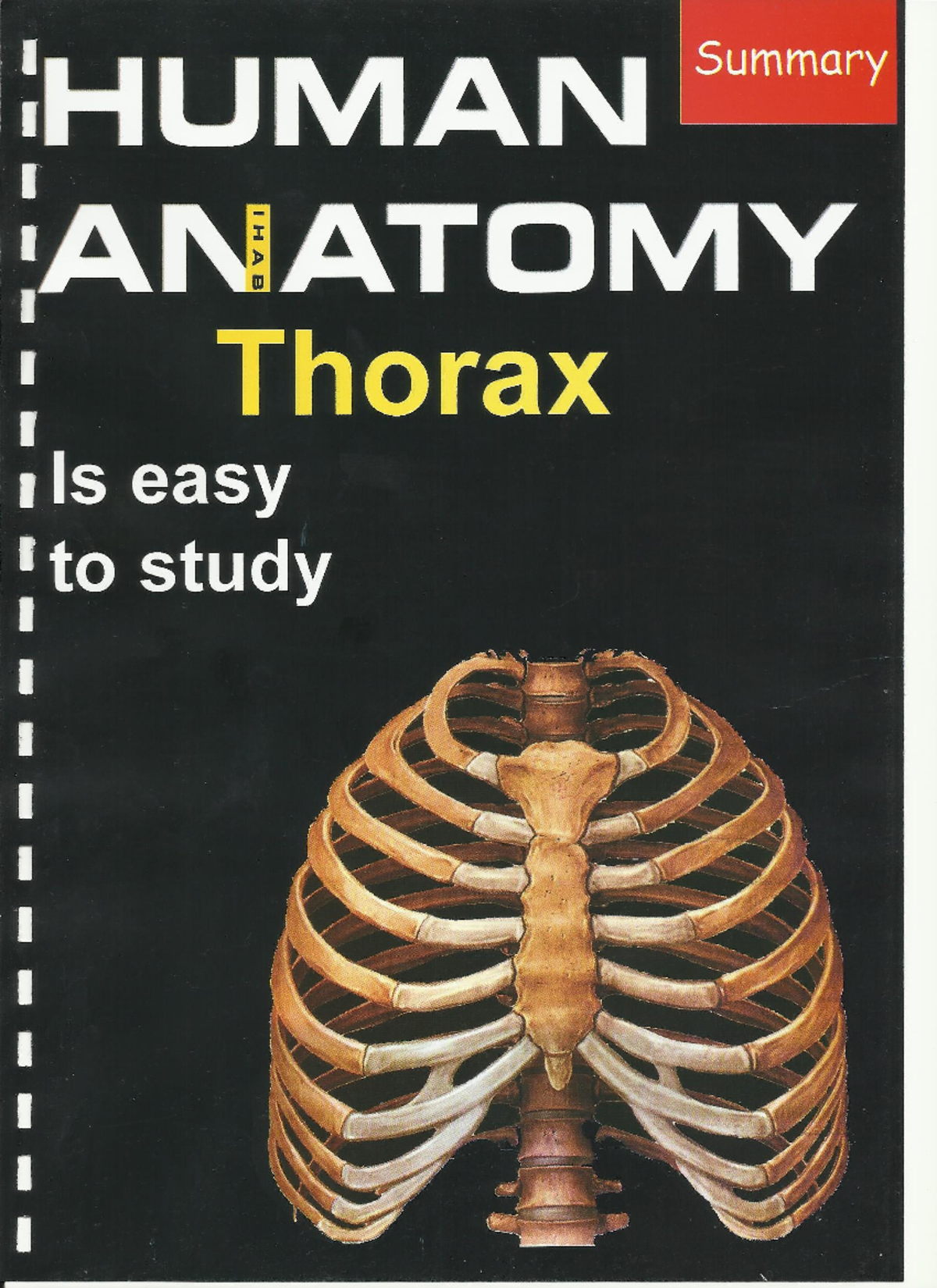 Summary of Thorax - Human Anatomy (ANAT 101) - Studocu