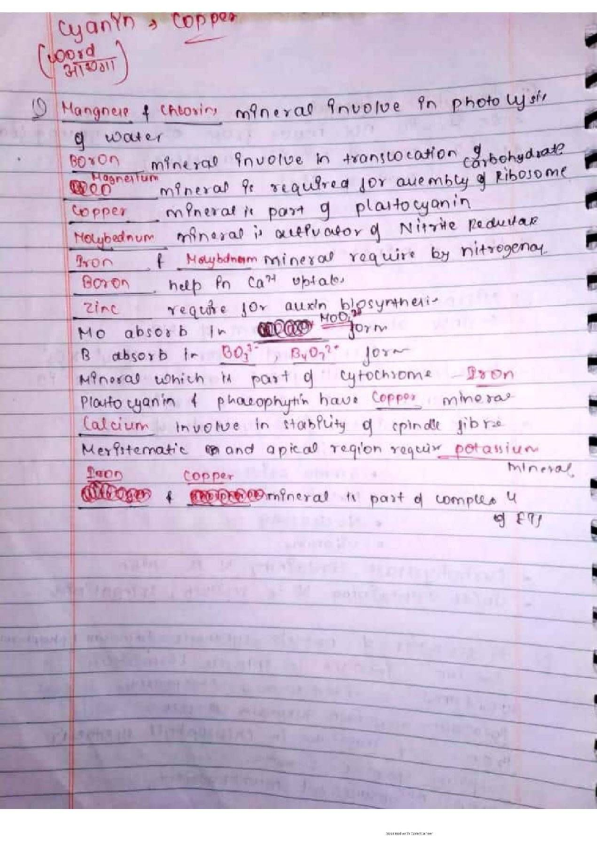 Jpg2pdf - notes and coursework. Provides detailed information and all ...