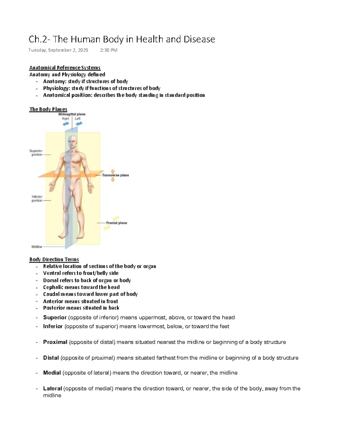 Aging, Death, and the Skeletal System: Key Concepts in Anatomy - Studocu