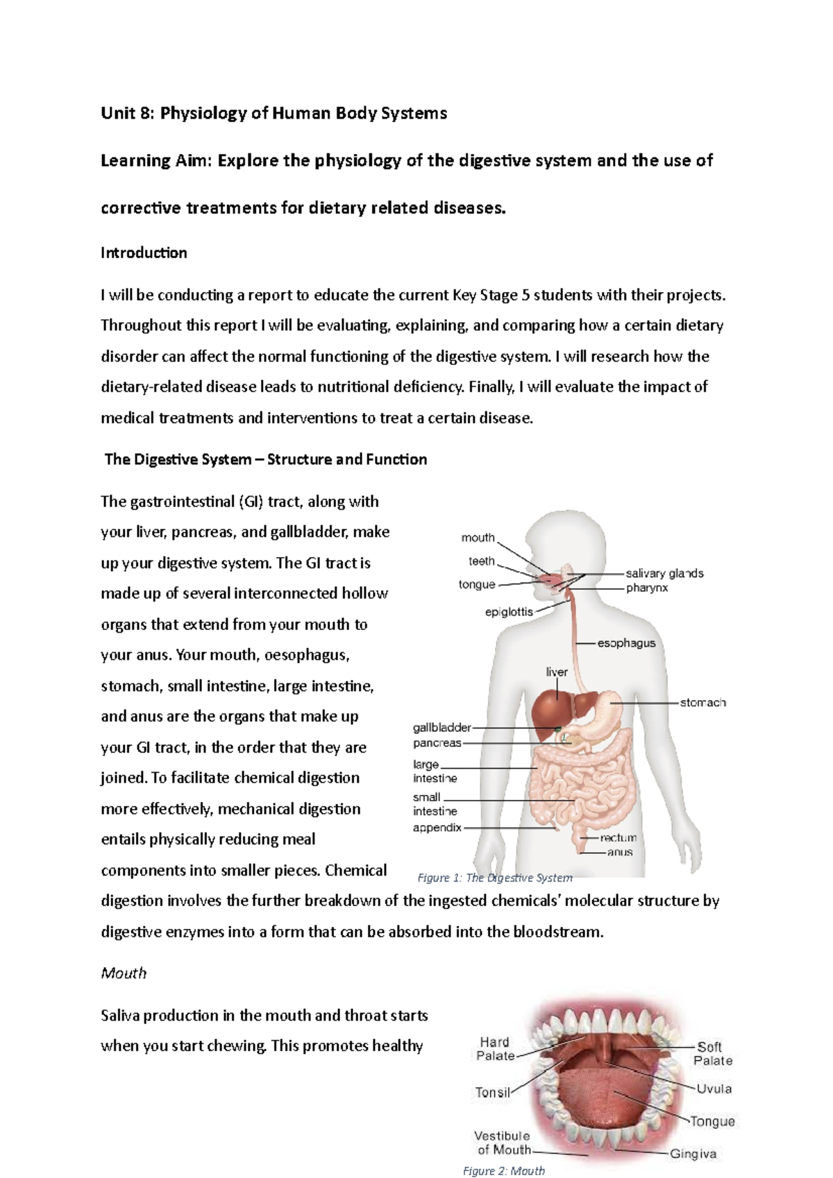 Unit 8: Physiology of Human Digestive System Disorders and Treatments ...