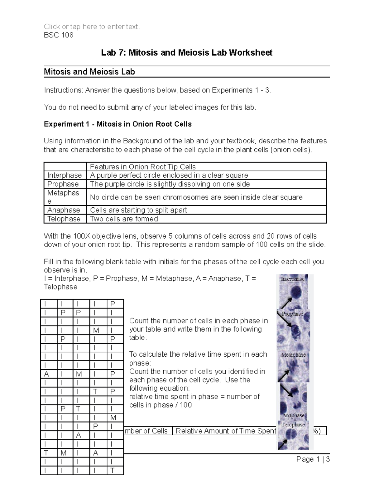 BSC 108 Lab 7: Mitosis & Meiosis Worksheet with Experiments Insights ...