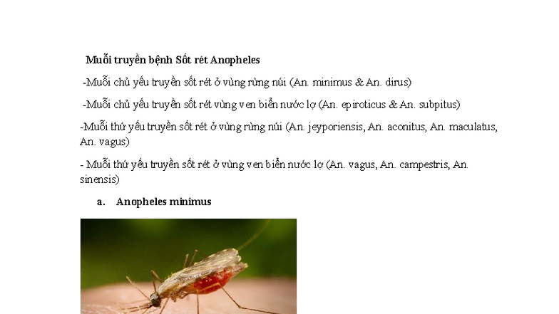 Muỗi Anopheles và vai trò truyền bệnh sốt rét ở Việt Nam - Studocu