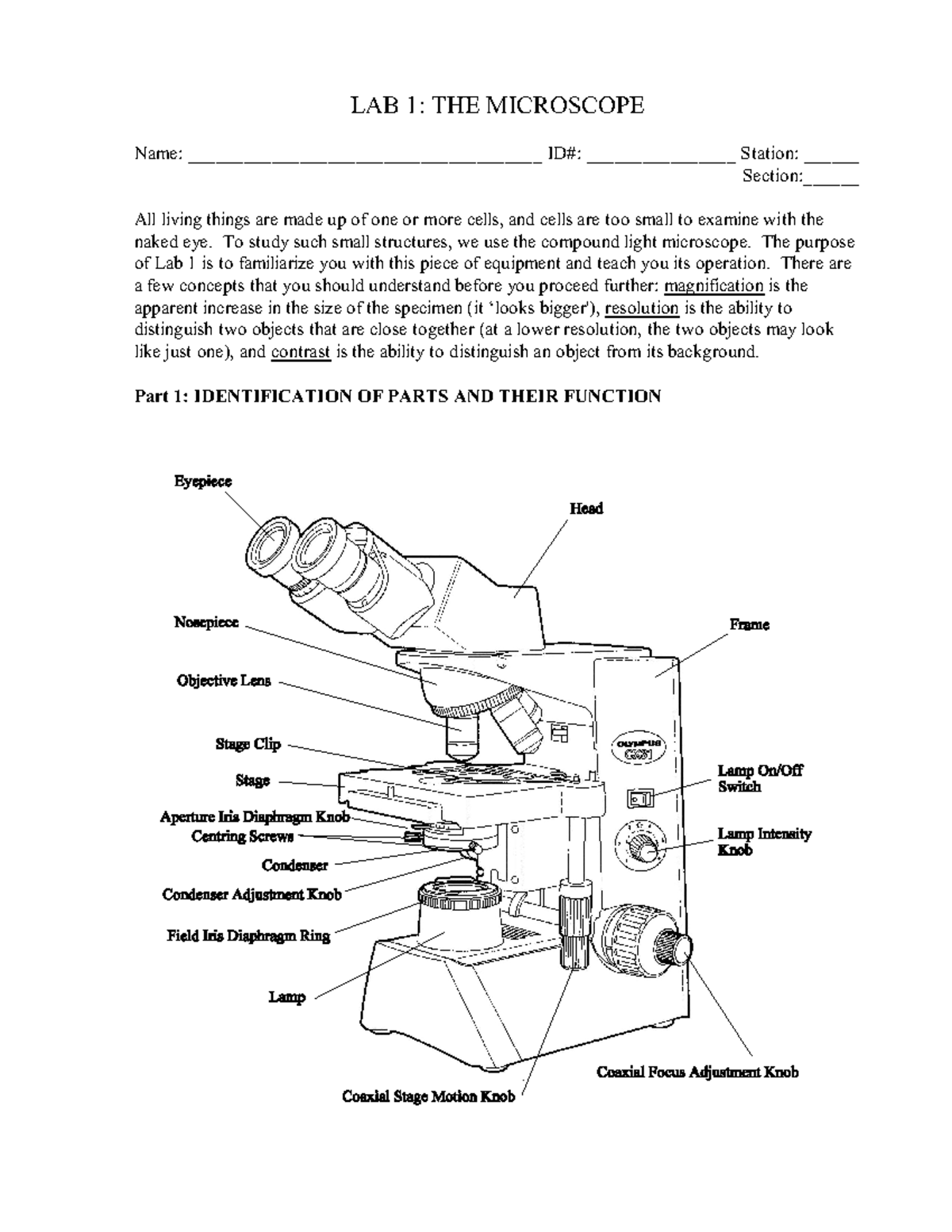 BIOL 201 Fall 2021 Lab 01: Microscope Operation and Parts Overview ...