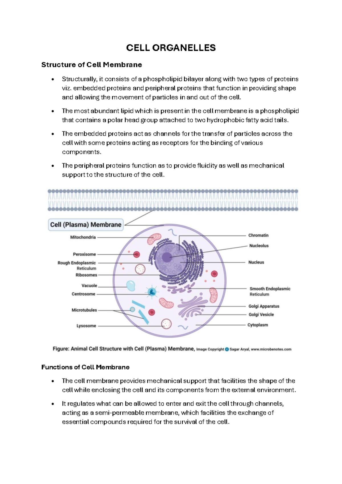 CELL 101: Structure and Functions of Organelles in Eukaryotic Cells - Studocu