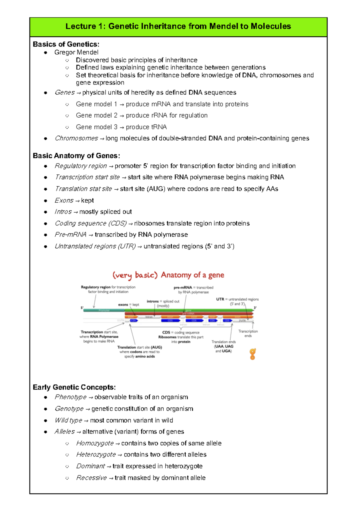 2024 GEGE2001 Final Exam Genetics Lecture Notes from USYD - Studocu