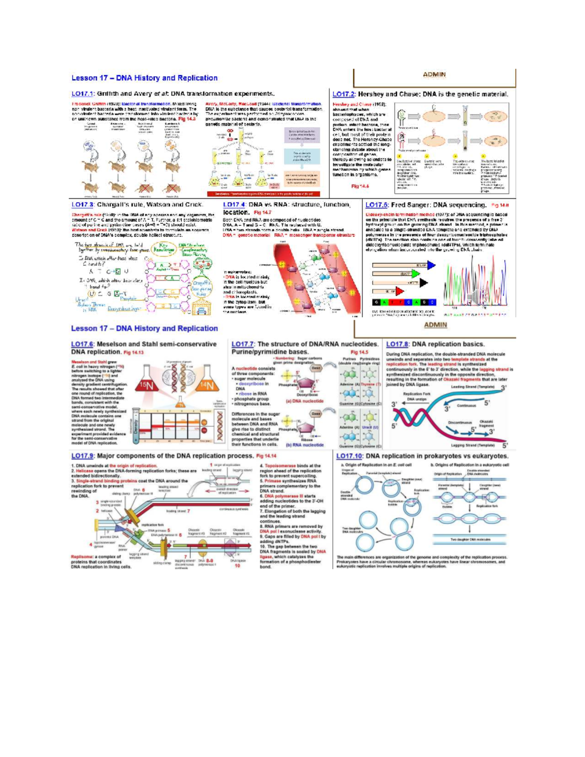 ADMIN Lesson 17: DNA History, Replication & Key Experiments L017 - Studocu