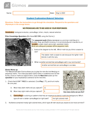 Copy of Brookelyn Sullivan - Muscles Bones Gizmo - Google Docs - Name ...