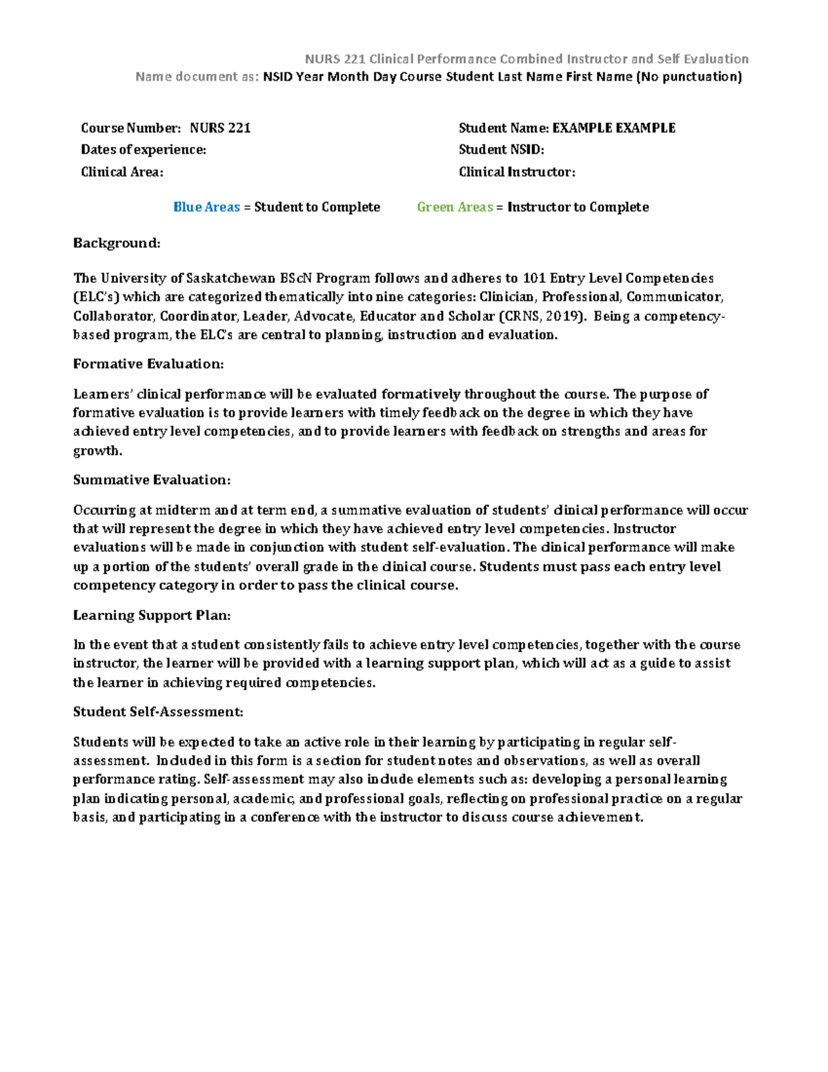 NURS 221 Clinical Performance Evaluation: Guidelines and Assessment ...