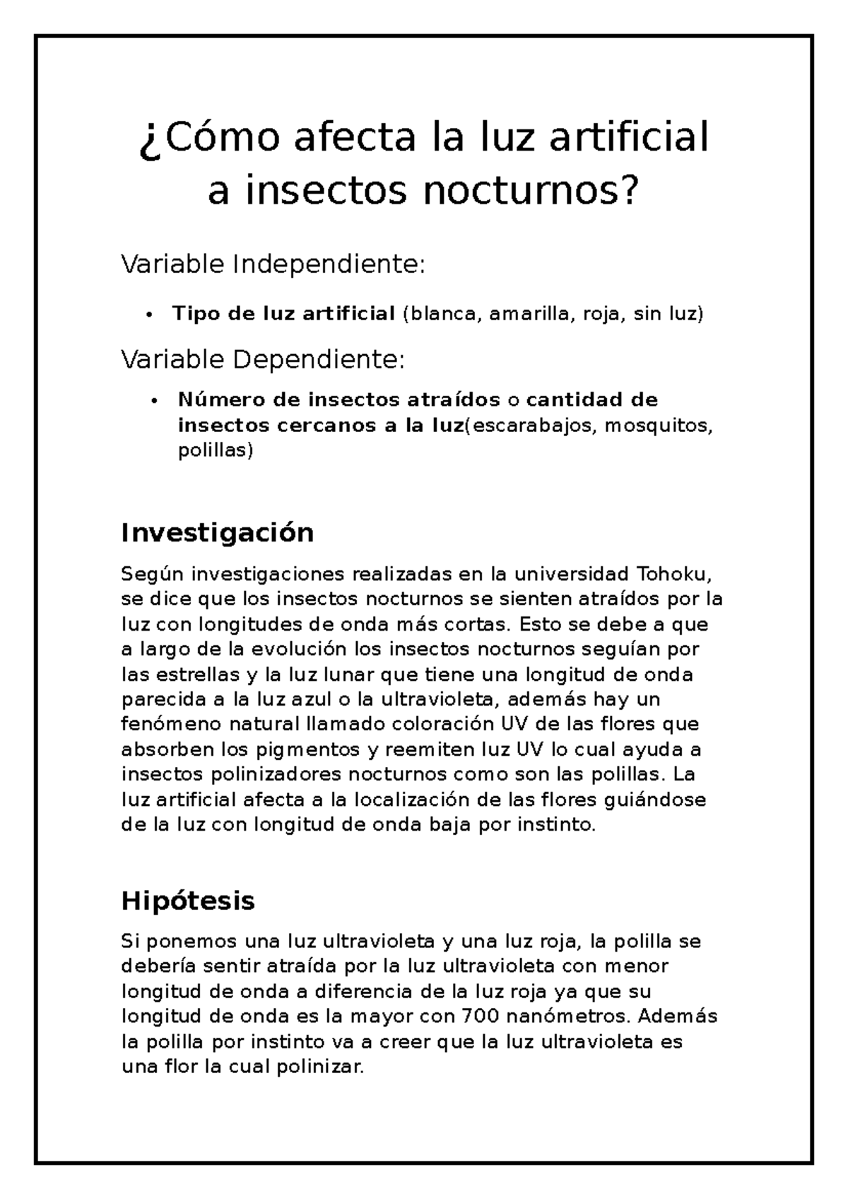 Cómo la Luz Artificial Atrae Insectos Nocturnos: Estudio de Variables ...