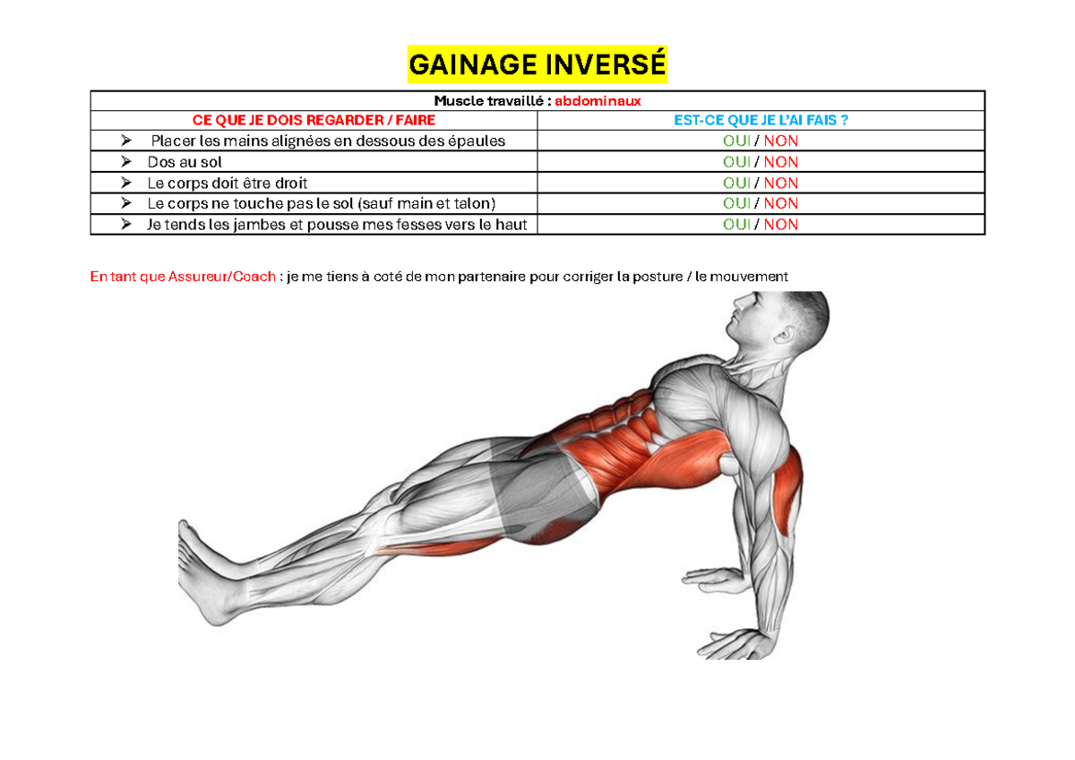 Gainage inversé - cec" - GAINAGE INVERSÉ Muscle travaillé : abdominaux ...