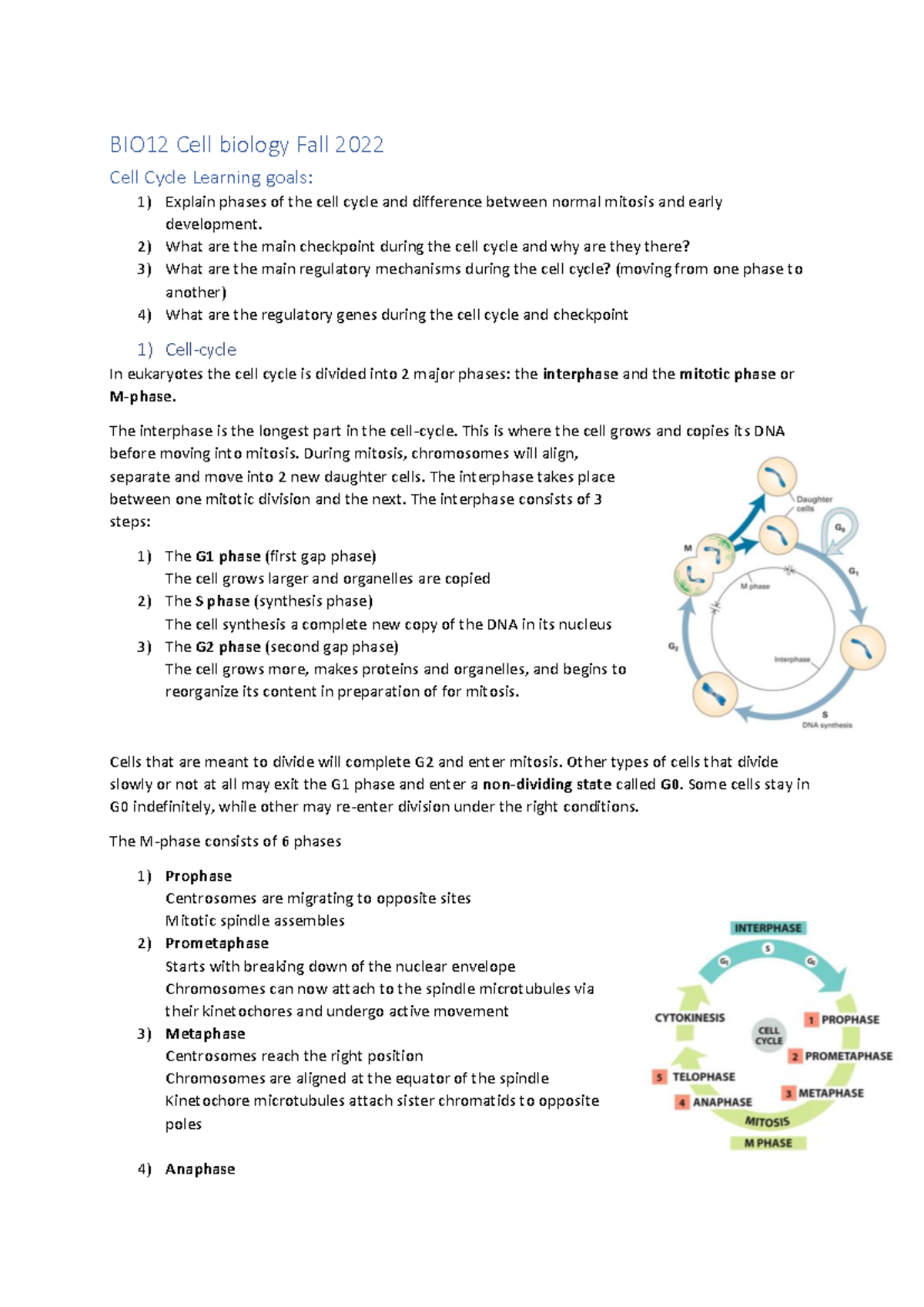 BIO12 Lecture Notes: Understanding the Cell Cycle Phases and Regulation ...